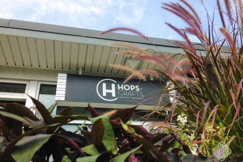 A Look Inside: Hops and Crafts | Nashville Guru