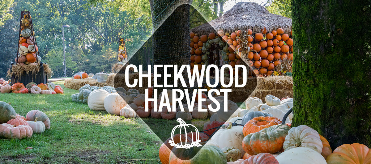 Cheekwood Harvest | Nashville Guru