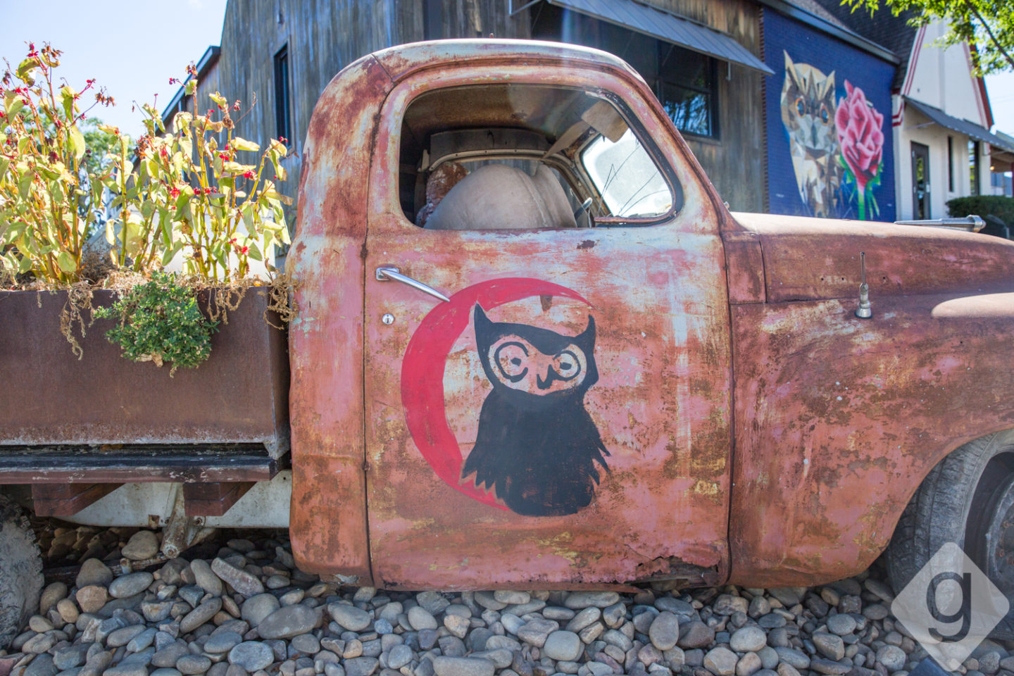 A Look Inside: The Golf Garden at M.L.Rose | Nashville Guru