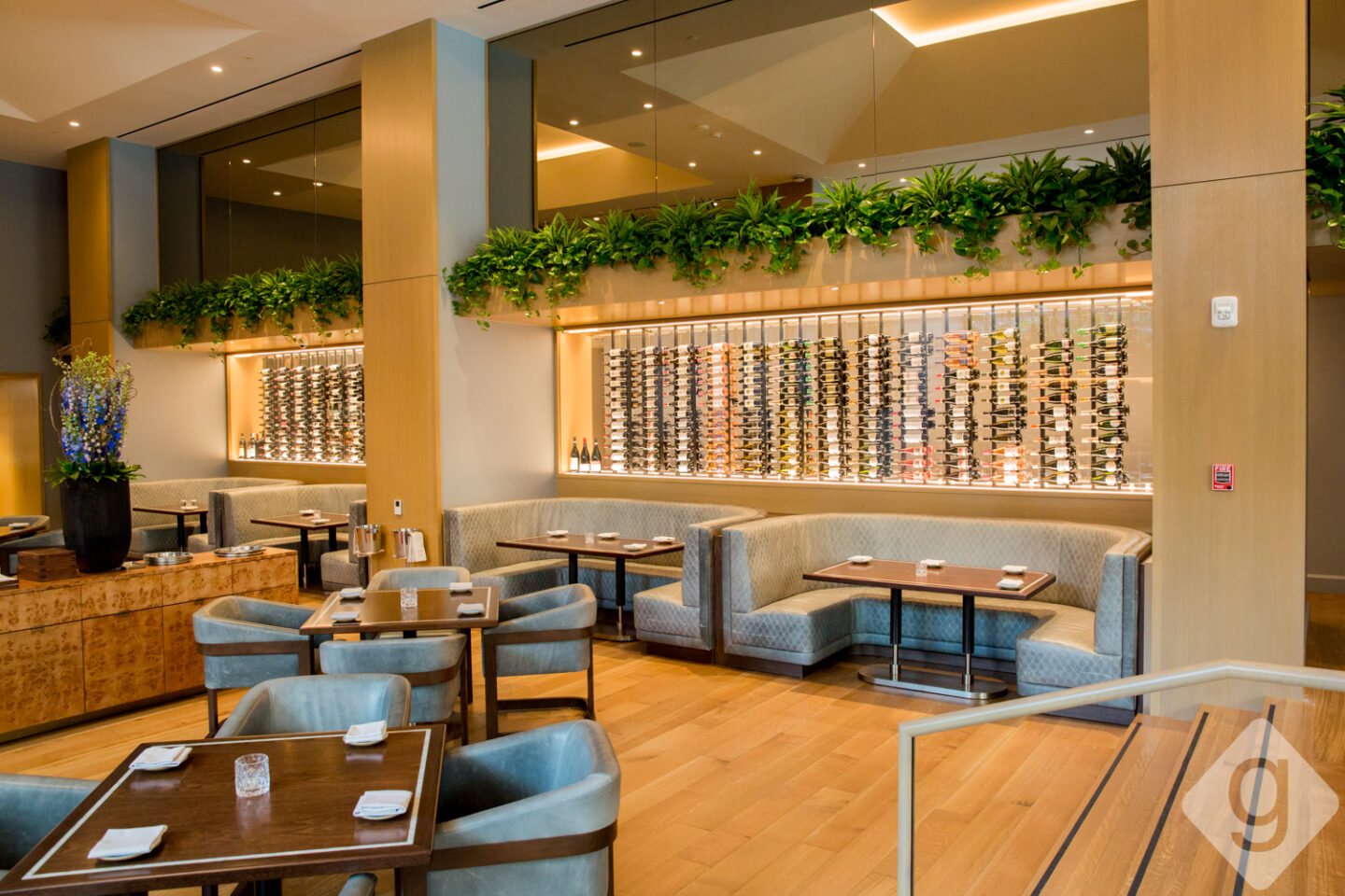 A Look Inside: Yolan | Nashville Guru