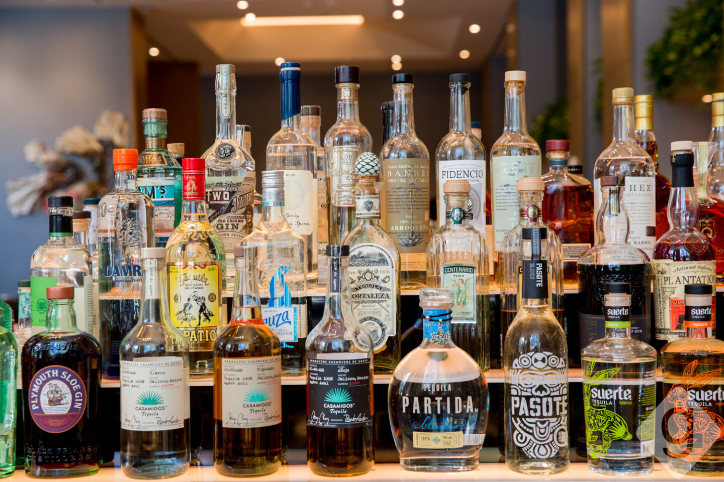 A Look Inside: Yolan | Nashville Guru