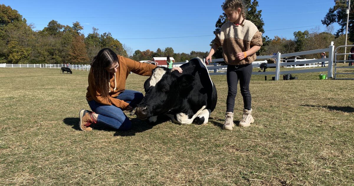 The Gentle Barn | Nashville Guru