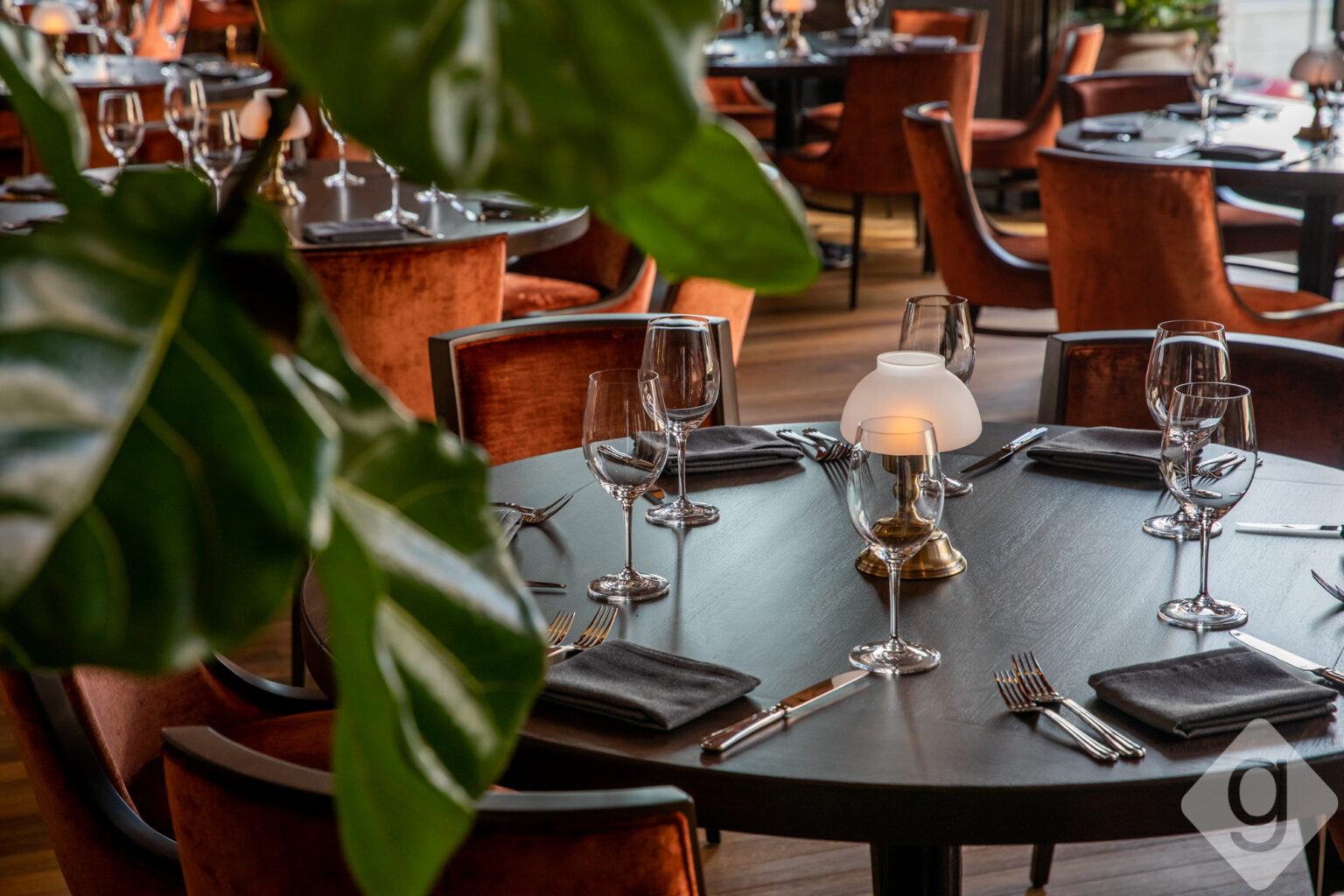 A Look Inside: The Twelve Thirty Club | Nashville Guru