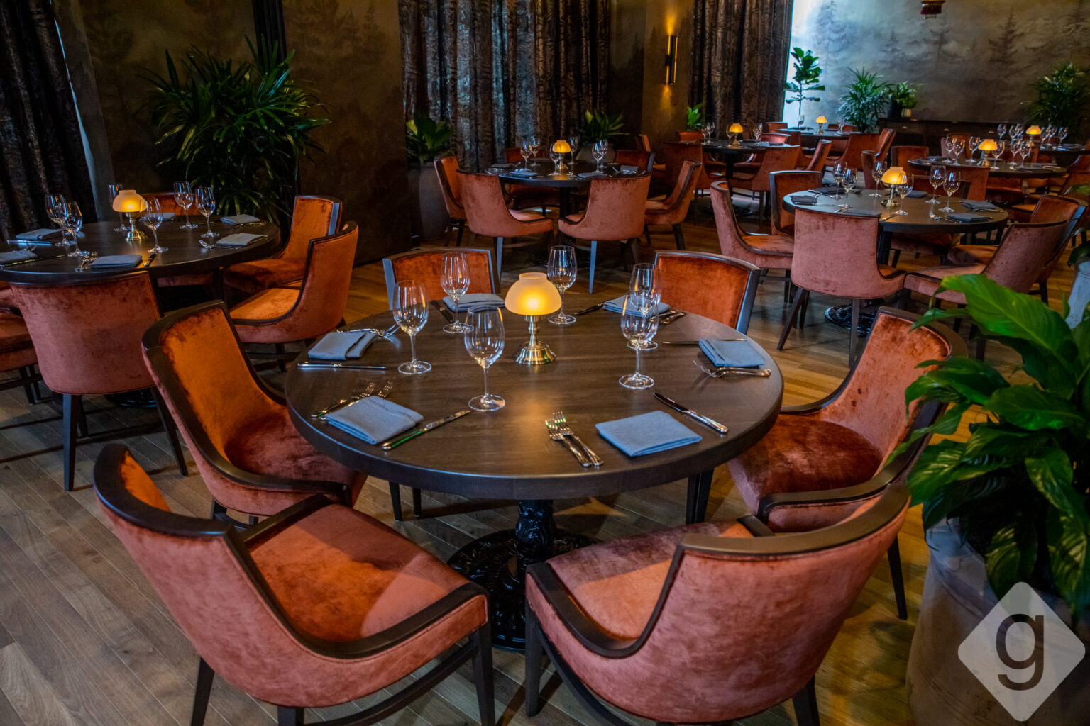 A Look Inside: The Twelve Thirty Club | Nashville Guru