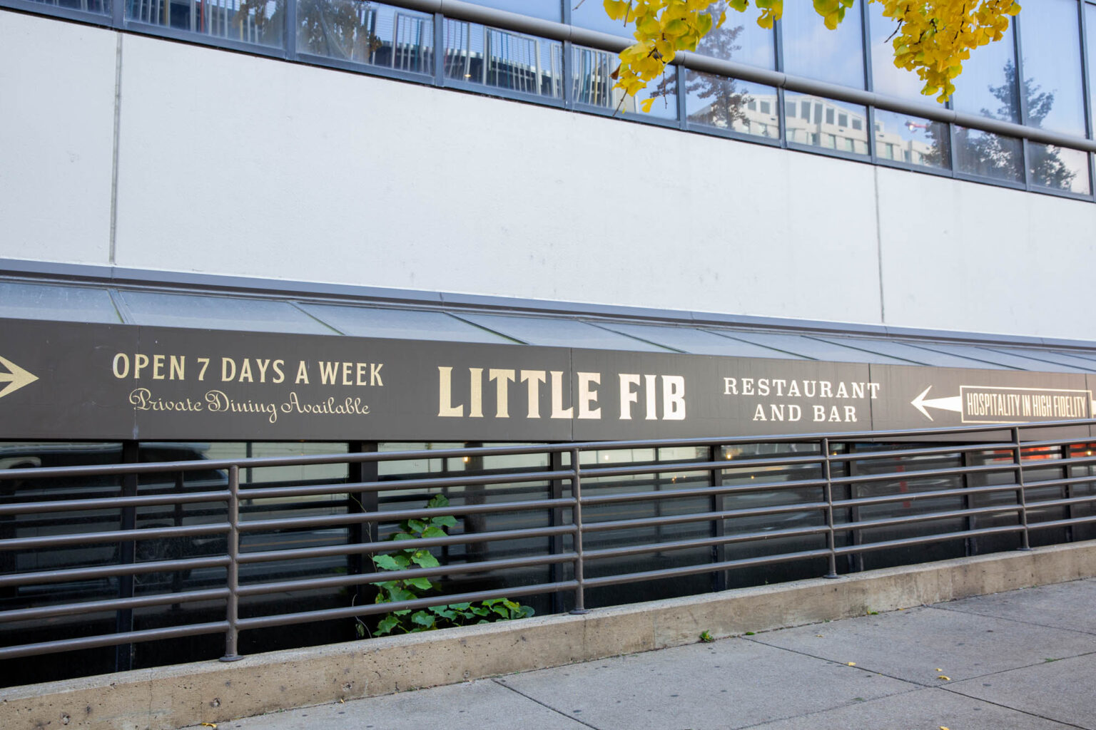 Little Fib | Nashville Guru
