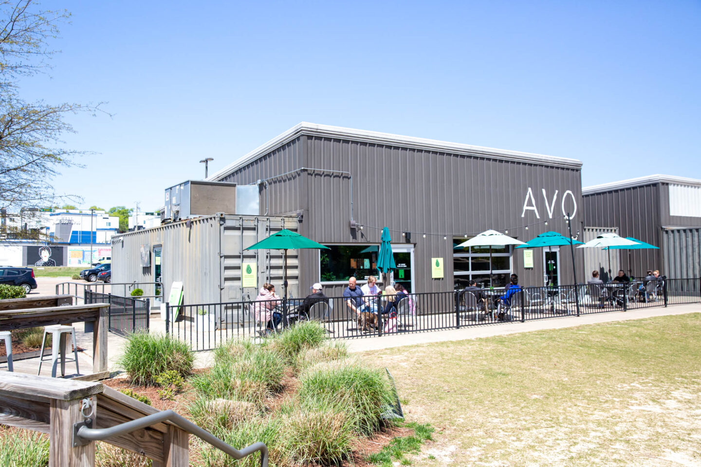 Avo | Nashville Guru