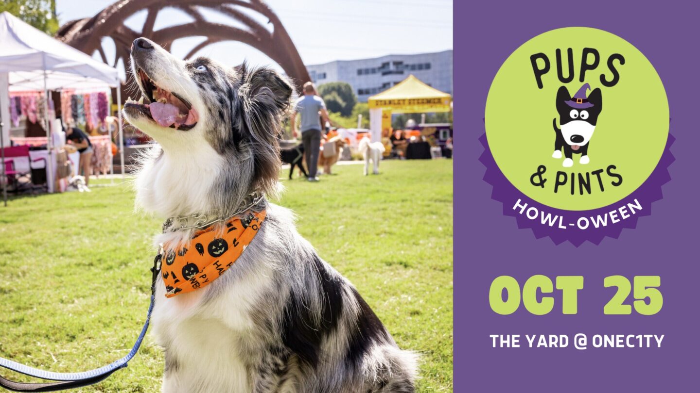 Pups & Pints HOWL-oween Festival | Nashville Guru