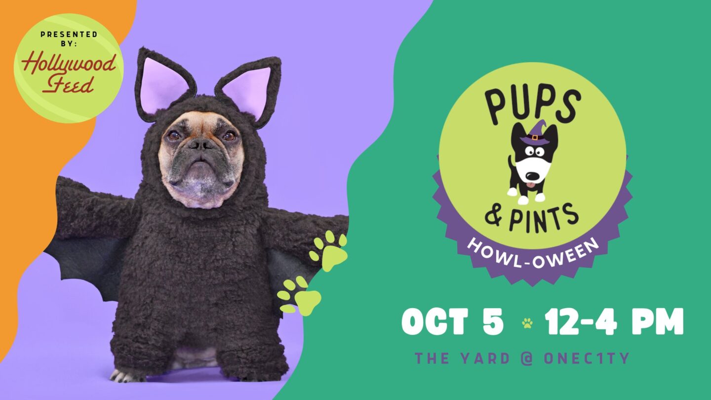 Pups & Pints HOWL-oween Festival | Nashville Guru