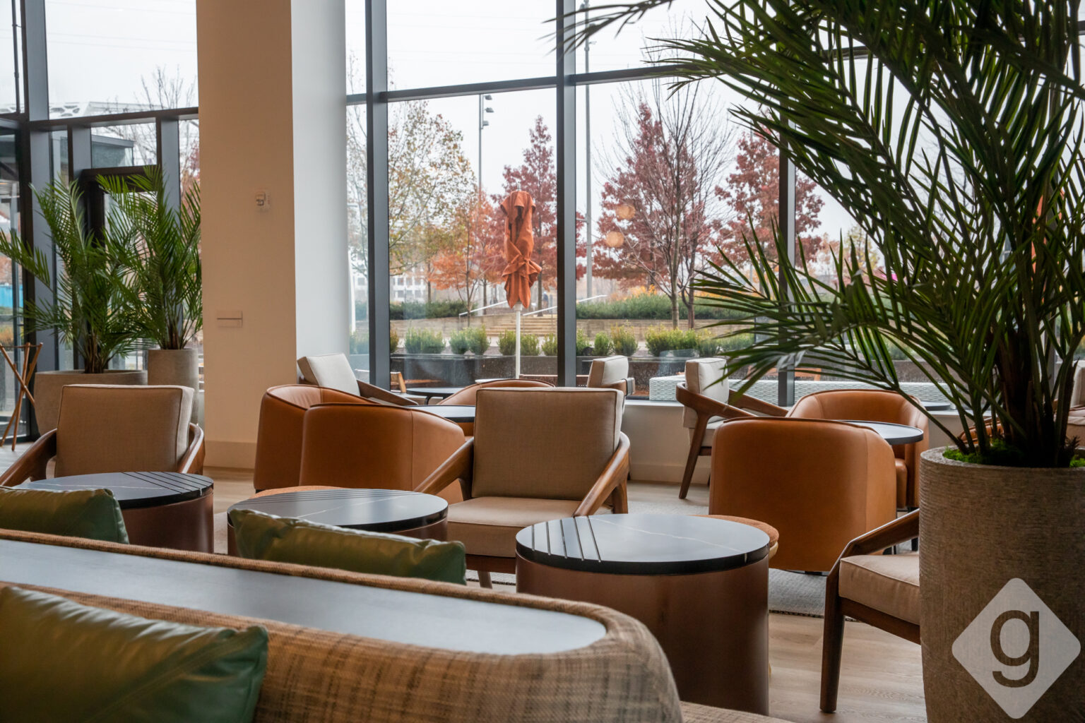 A Look Inside: Mimo Restaurant and Bar | Nashville Guru