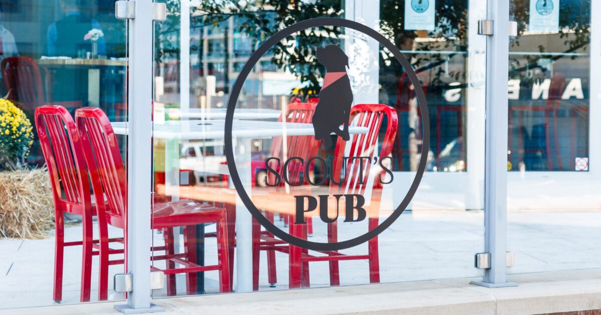 Adopt a Golden Yappy Hour | Nashville Guru