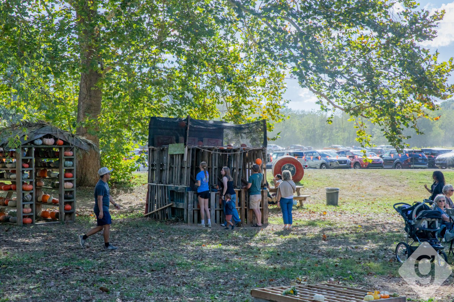 Nashville Fall Festival: Corn Maze, Pumpkin Patch, and Fall Fun ...