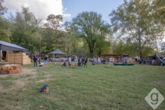 Nashville Fall Festival: Corn Maze, Pumpkin Patch, and Fall Fun ...