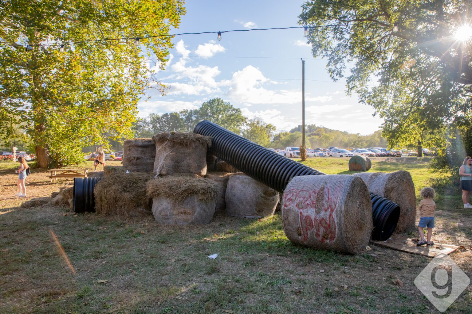 Nashville Fall Festival: Corn Maze, Pumpkin Patch, and Fall Fun ...