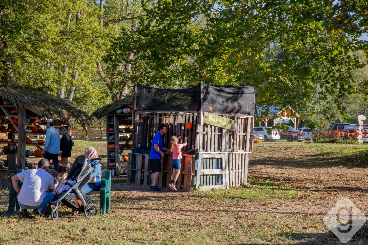 Nashville Fall Festival: Corn Maze, Pumpkin Patch, and Fall Fun ...
