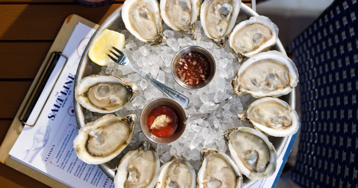 The Salt Line | Nashville Guru