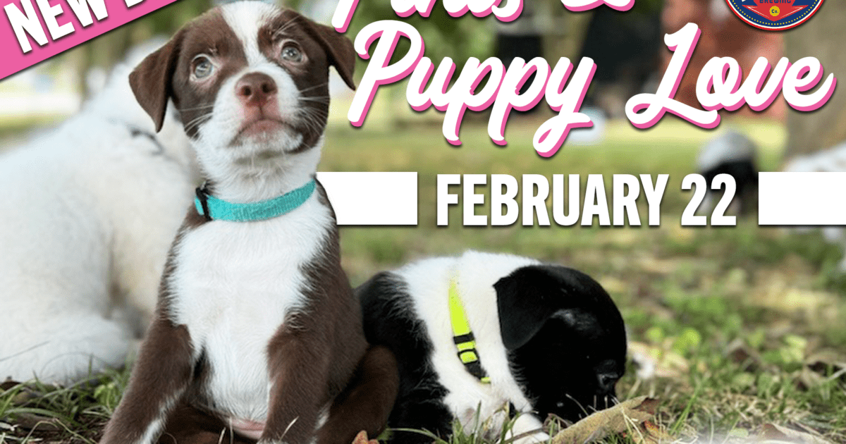 Pints & Puppy Love | Nashville Guru