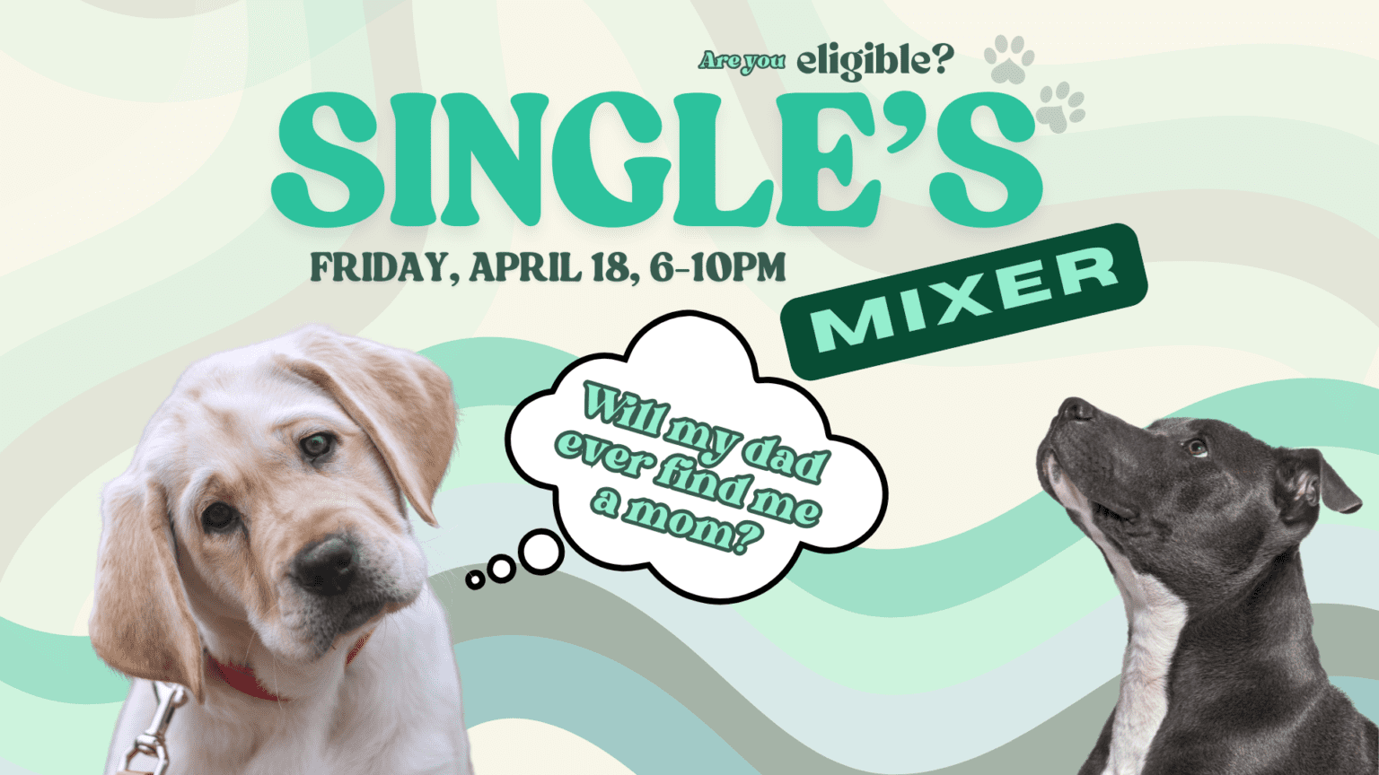 Singles Mixer Party | Nashville Guru