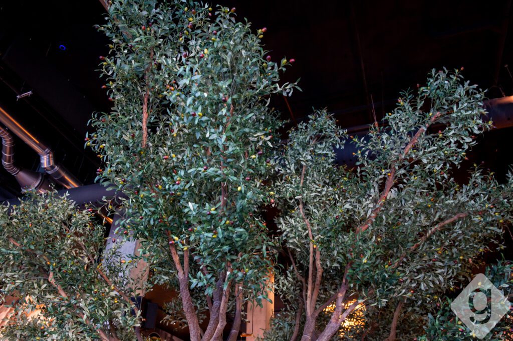 A Look Inside: V Modern Italian | Nashville Guru