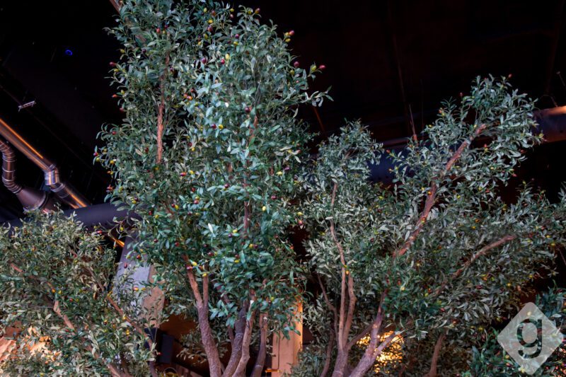 A Look Inside: V Modern Italian | Nashville Guru