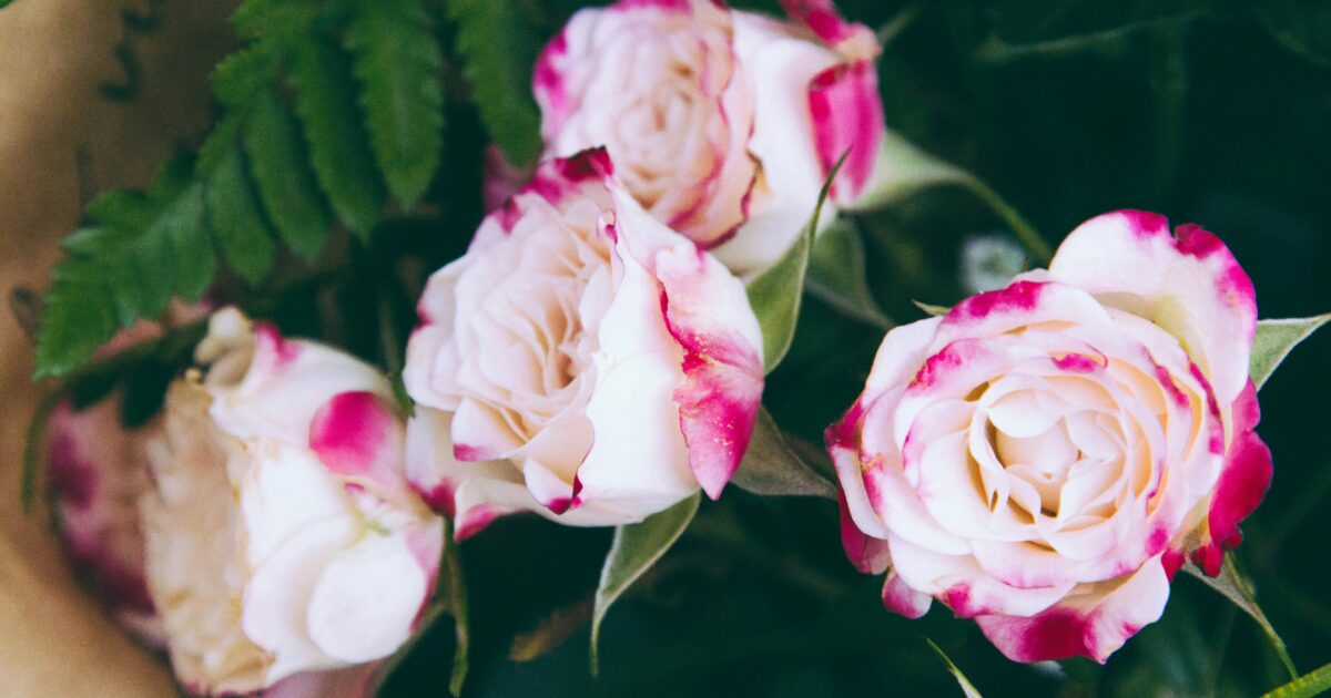 Summer Sips and Stems at Geny's Flowers | Nashville Guru