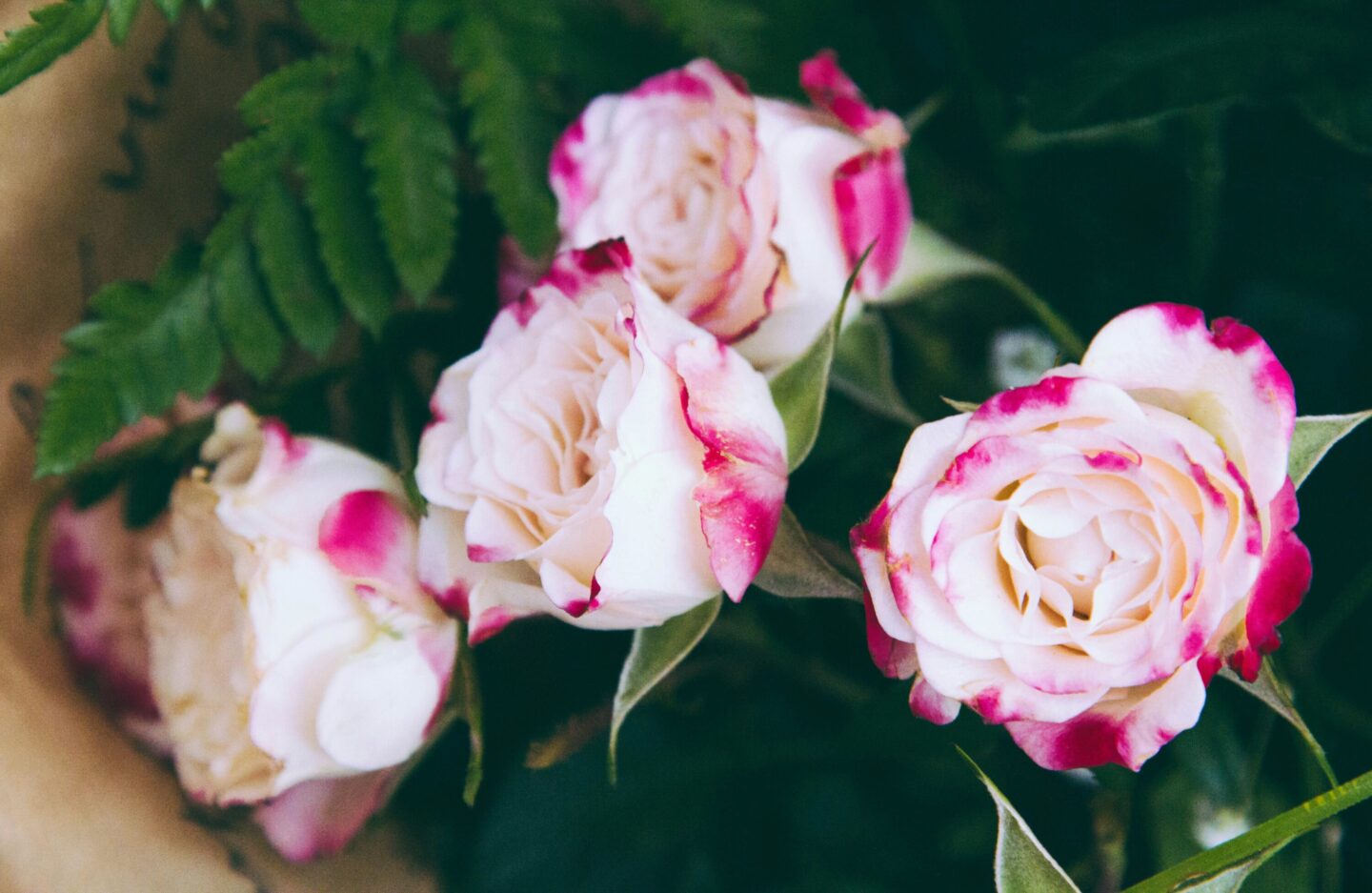 Summer Sips and Stems at Geny's Flowers | Nashville Guru
