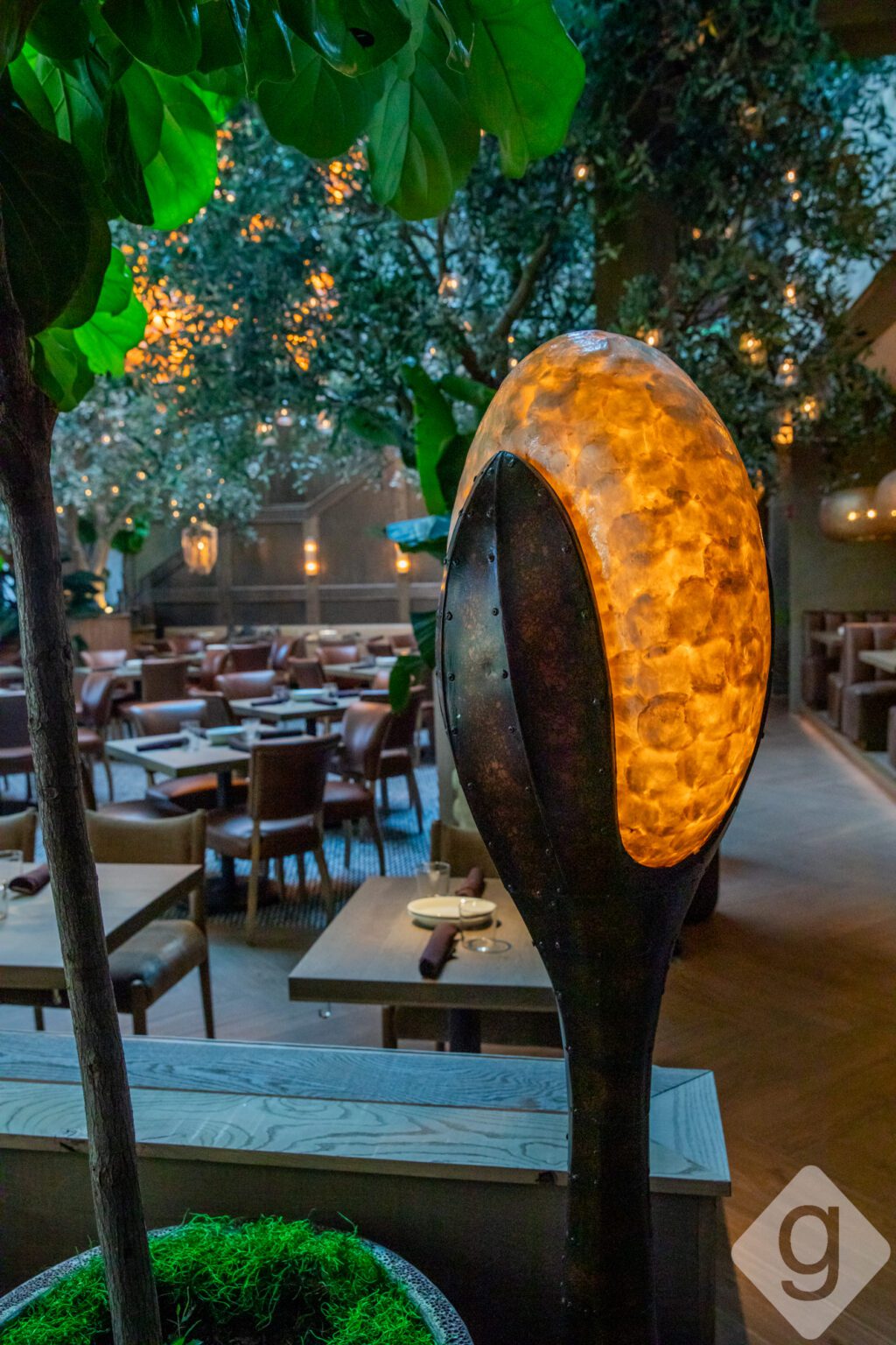 A Look Inside: Aba Nashville | Nashville Guru