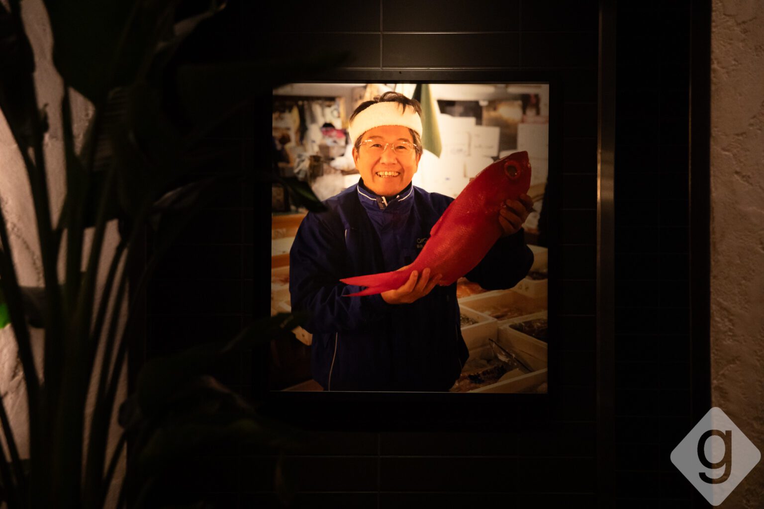 A Look Inside: Sushi-san Nashville | Nashville Guru