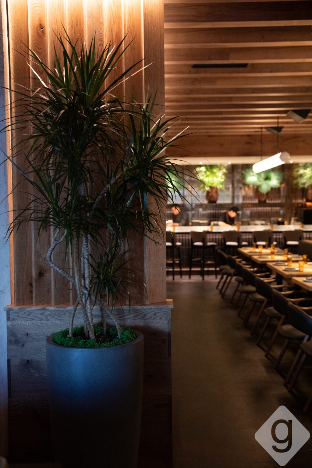 A Look Inside: Sushi-san Nashville | Nashville Guru